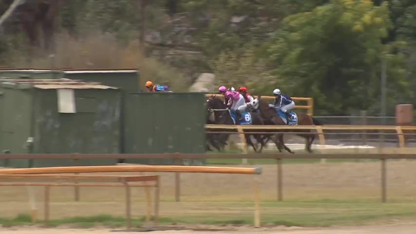 Racing SA • Supporting the Thoroughbred Horseracing Industry