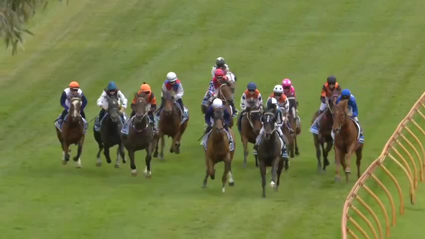 Racing SA • Supporting the Thoroughbred Horseracing Industry