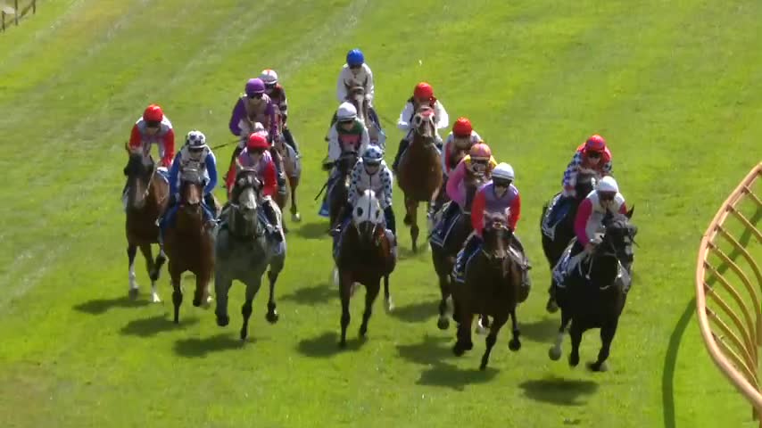 Racing SA • Supporting the Thoroughbred Horseracing Industry