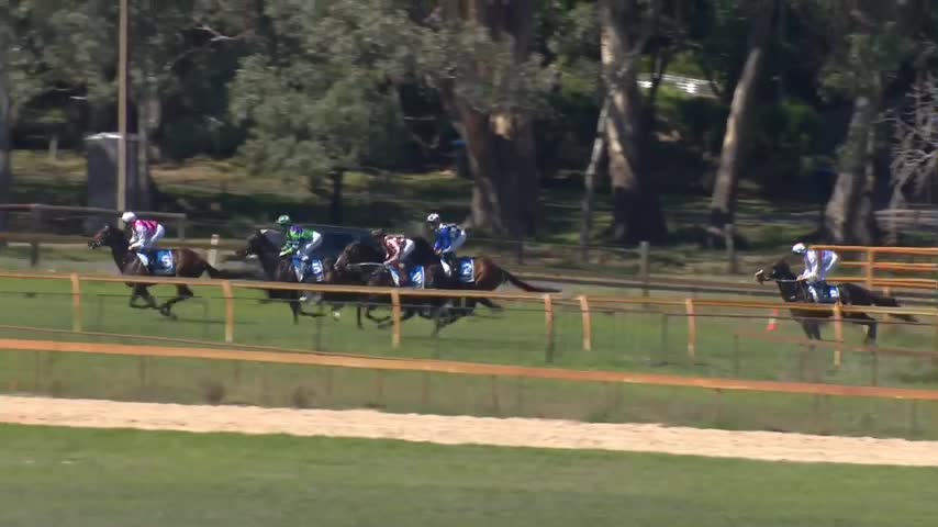 Racing SA • Supporting the Thoroughbred Horseracing Industry