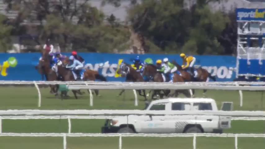 Racing SA • Supporting the Thoroughbred Horseracing Industry