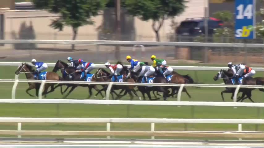 Racing SA • Supporting the Thoroughbred Horseracing Industry