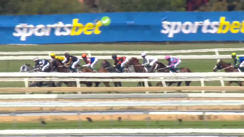 Racing SA • Supporting the Thoroughbred Horseracing Industry