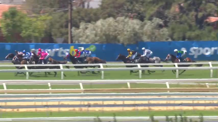 Racing SA • Supporting the Thoroughbred Horseracing Industry