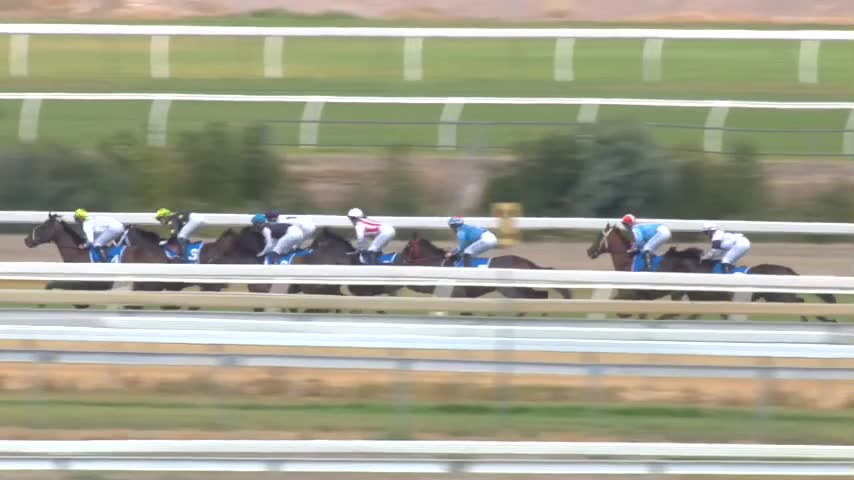 Racing SA • Supporting the Thoroughbred Horseracing Industry