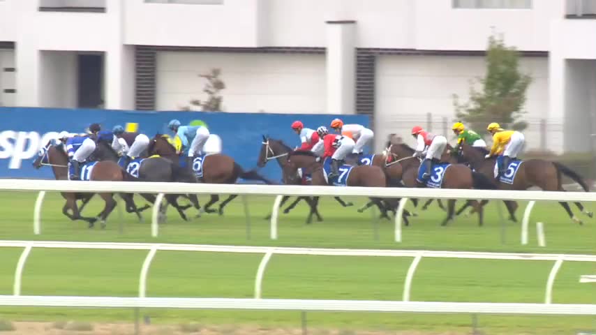 Racing SA • Supporting the Thoroughbred Horseracing Industry