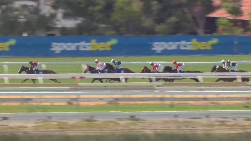 Racing SA • Supporting the Thoroughbred Horseracing Industry