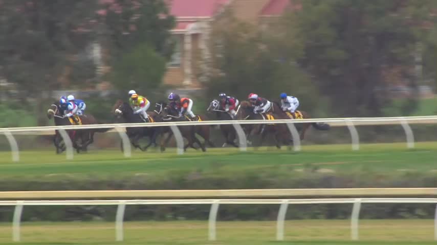 Racing SA • Supporting the Thoroughbred Horseracing Industry