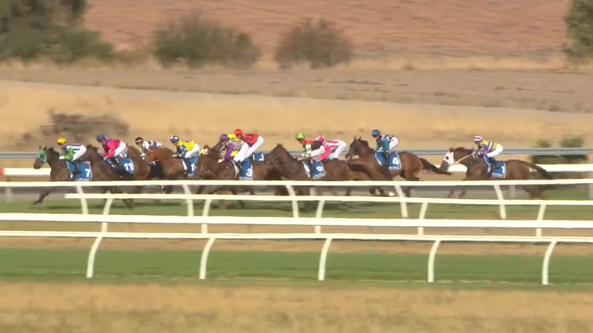 Racing SA • Supporting the Thoroughbred Horseracing Industry