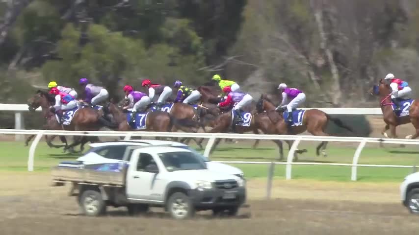 Racing SA • Supporting the Thoroughbred Horseracing Industry