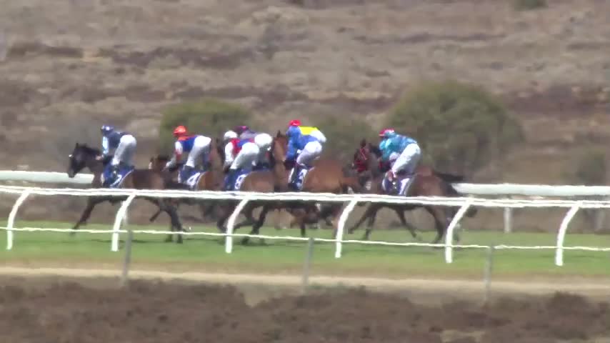 Racing SA • Supporting the Thoroughbred Horseracing Industry