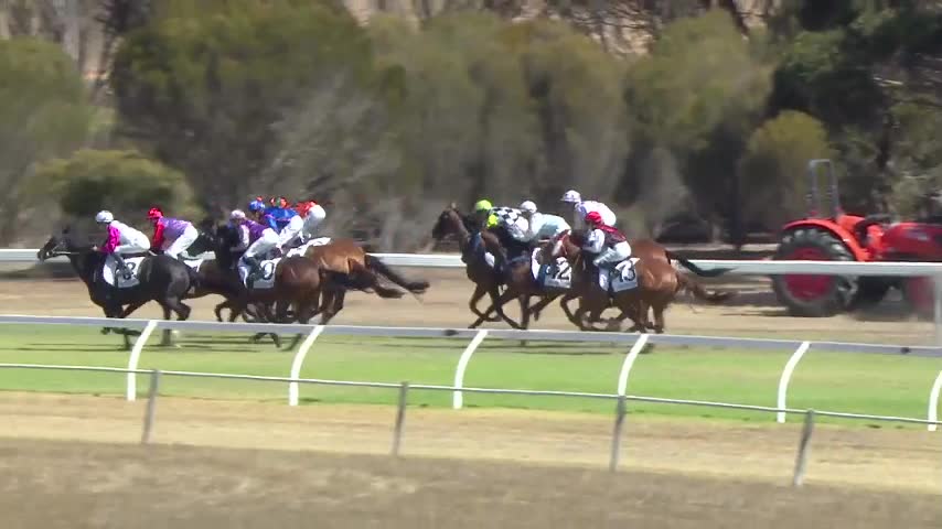 Racing SA • Supporting the Thoroughbred Horseracing Industry