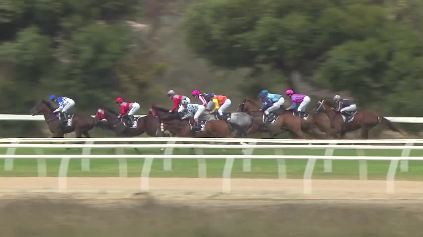 Racing SA • Supporting the Thoroughbred Horseracing Industry