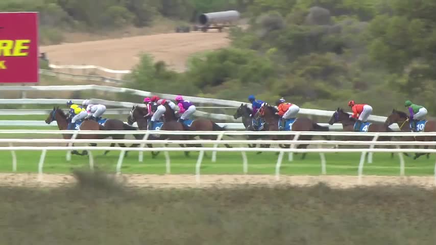 Racing SA • Supporting the Thoroughbred Horseracing Industry