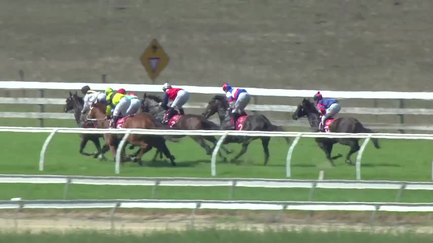 Racing SA • Supporting the Thoroughbred Horseracing Industry