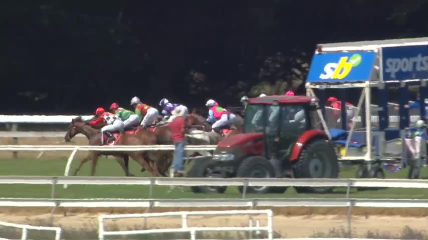 Racing SA • Supporting the Thoroughbred Horseracing Industry