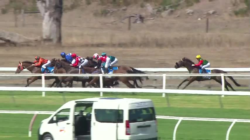 Racing SA • Supporting the Thoroughbred Horseracing Industry