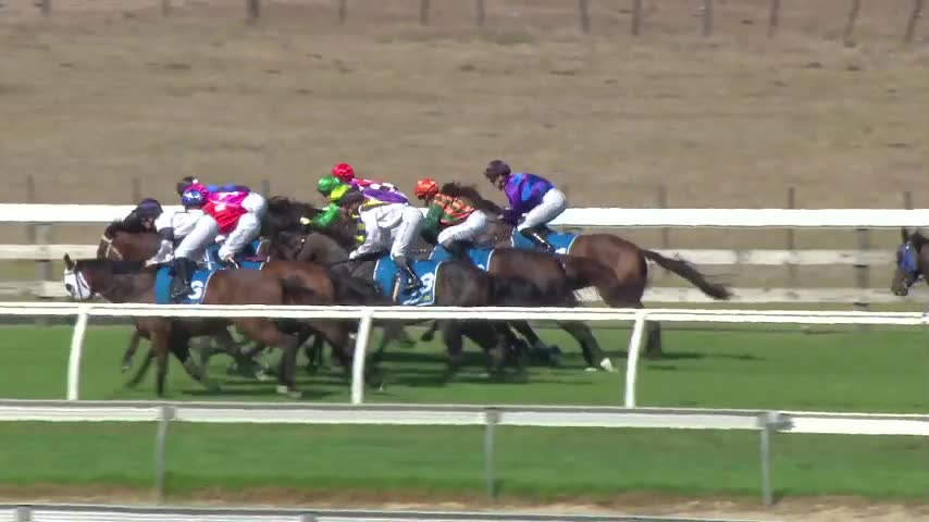 Racing SA • Supporting the Thoroughbred Horseracing Industry