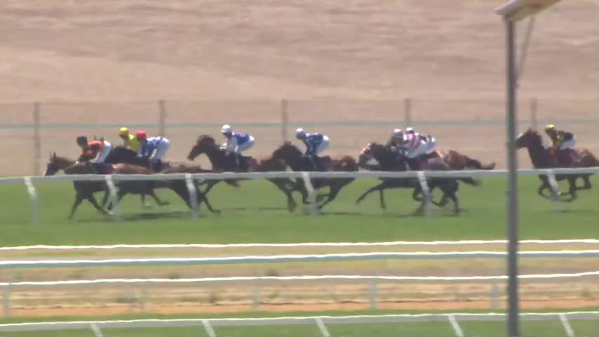 Racing SA • Supporting the Thoroughbred Horseracing Industry