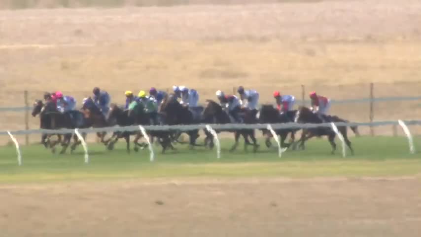 Racing SA • Supporting the Thoroughbred Horseracing Industry