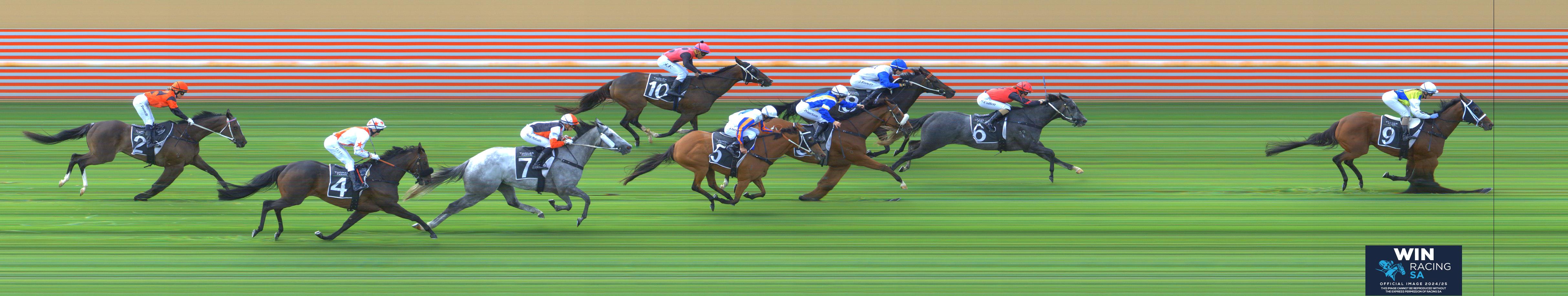 Thomas Farms RC Murray Bridge • Sat 07 Mar 2026 • Racing SA