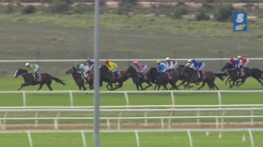 Racing SA • Supporting the Thoroughbred Horseracing Industry