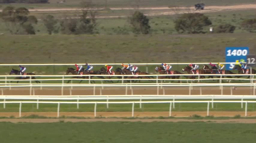 Racing SA • Supporting the Thoroughbred Horseracing Industry