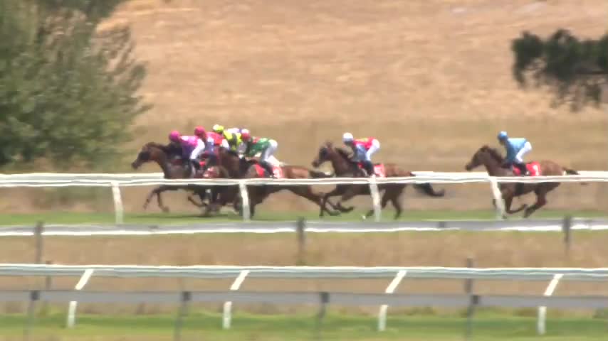 Racing SA • Supporting the Thoroughbred Horseracing Industry