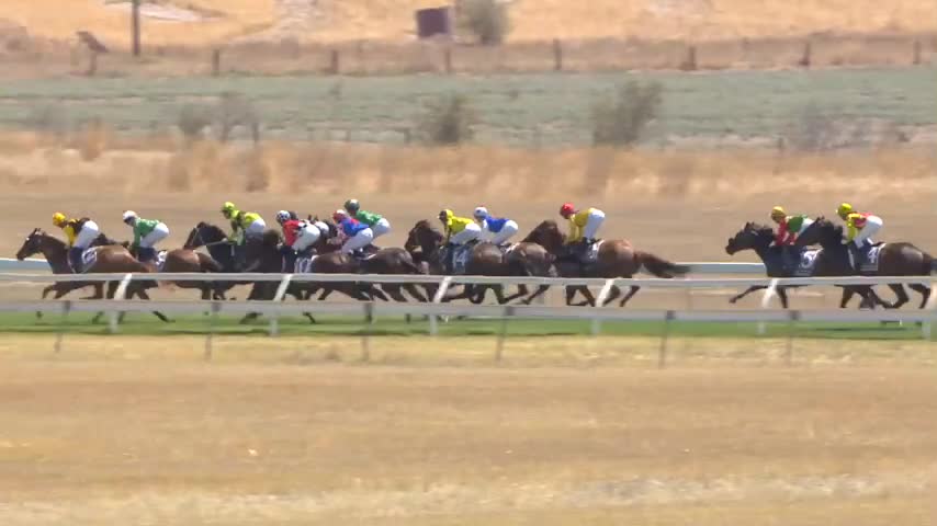 Racing SA • Supporting the Thoroughbred Horseracing Industry