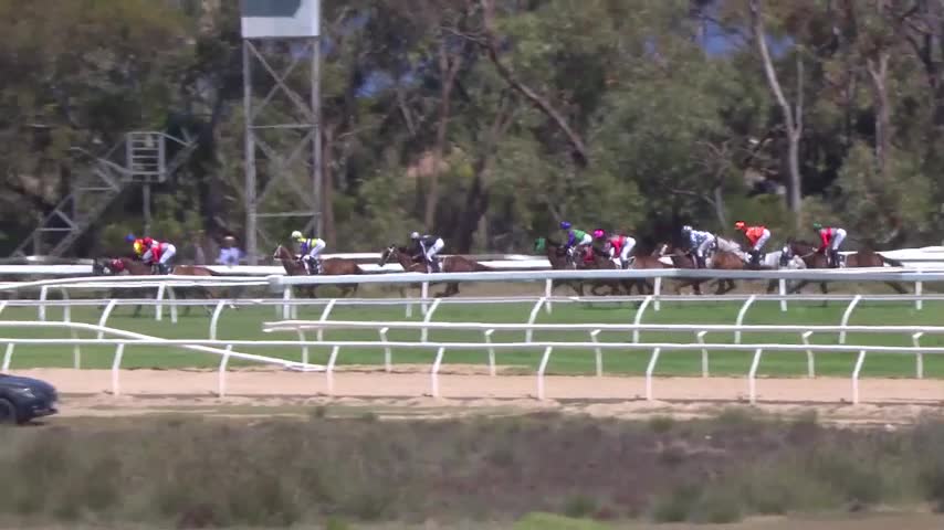 Racing SA • Supporting the Thoroughbred Horseracing Industry