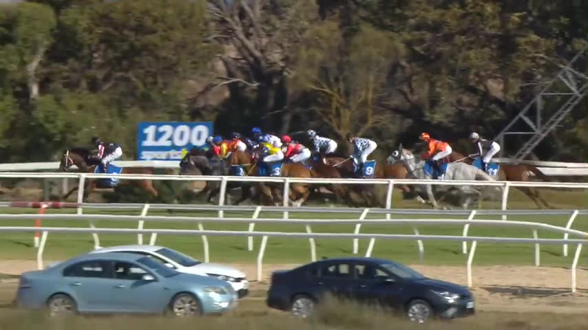 Racing SA • Supporting the Thoroughbred Horseracing Industry