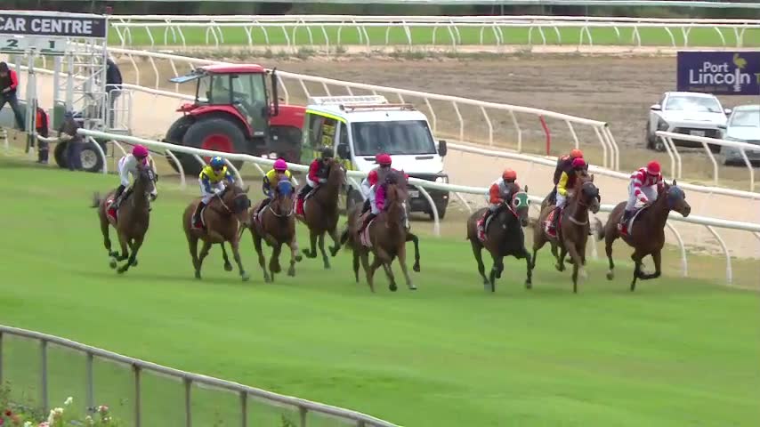 Racing SA • Supporting the Thoroughbred Horseracing Industry