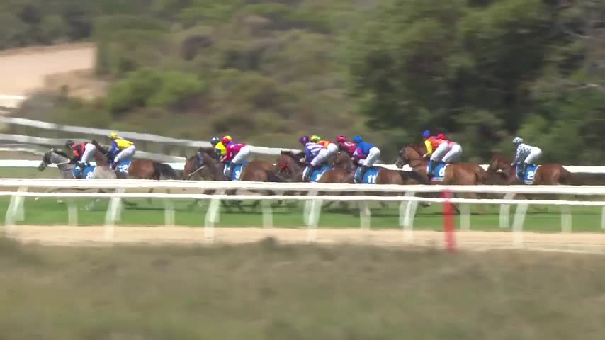 Racing SA • Supporting the Thoroughbred Horseracing Industry