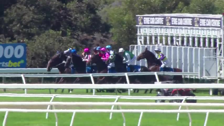 Racing SA • Supporting the Thoroughbred Horseracing Industry