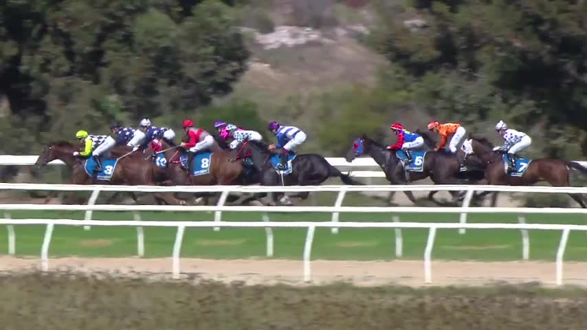 Racing SA • Supporting the Thoroughbred Horseracing Industry