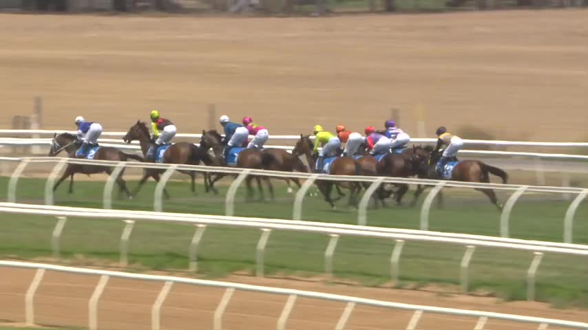 Racing SA • Supporting the Thoroughbred Horseracing Industry
