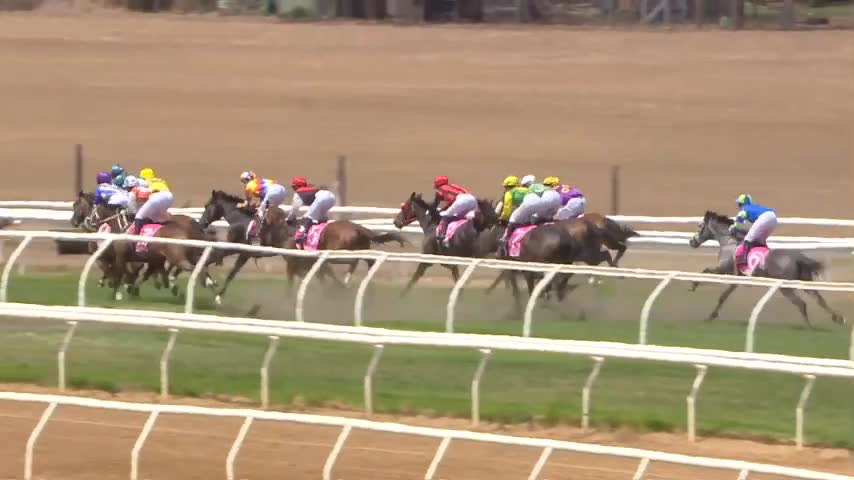 Racing SA • Supporting the Thoroughbred Horseracing Industry