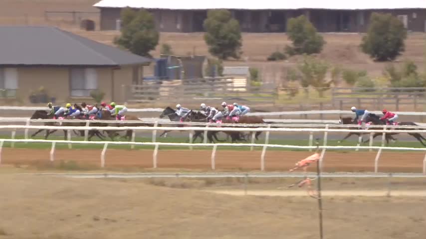 Racing SA • Supporting the Thoroughbred Horseracing Industry
