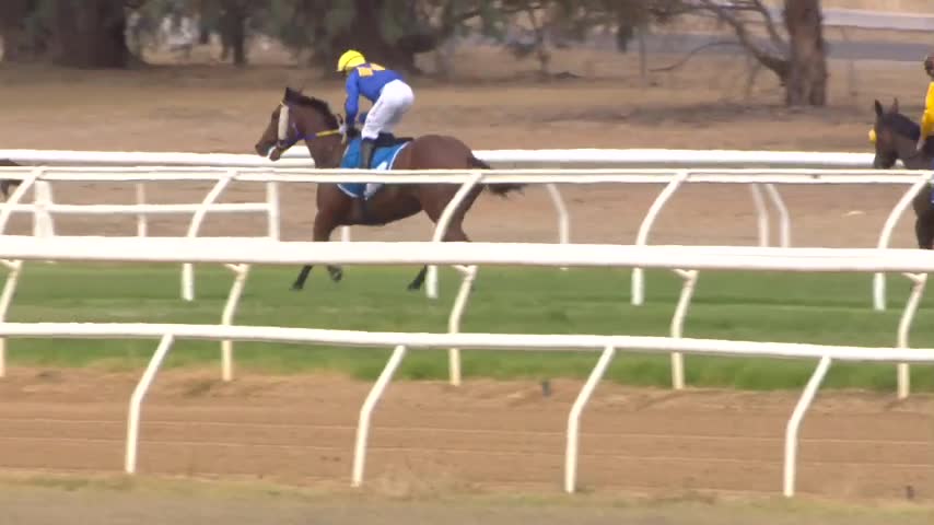 Racing SA • Supporting the Thoroughbred Horseracing Industry