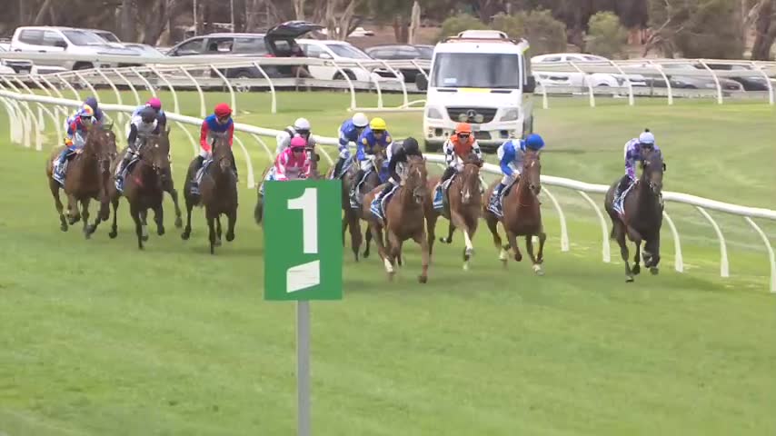 Racing SA • Supporting the Thoroughbred Horseracing Industry