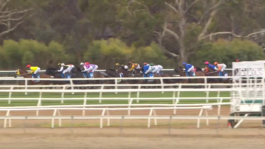 Racing SA • Supporting the Thoroughbred Horseracing Industry